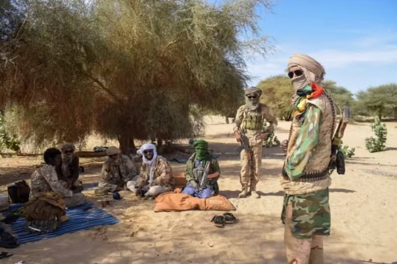 Azawad - Mali : Quelle doctrine politico-militaire pour le FLA ? - La ...